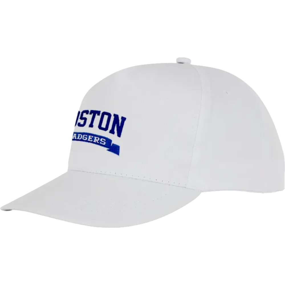 Structured Hades 5 Panel Cotton Cap | Total Merchandise