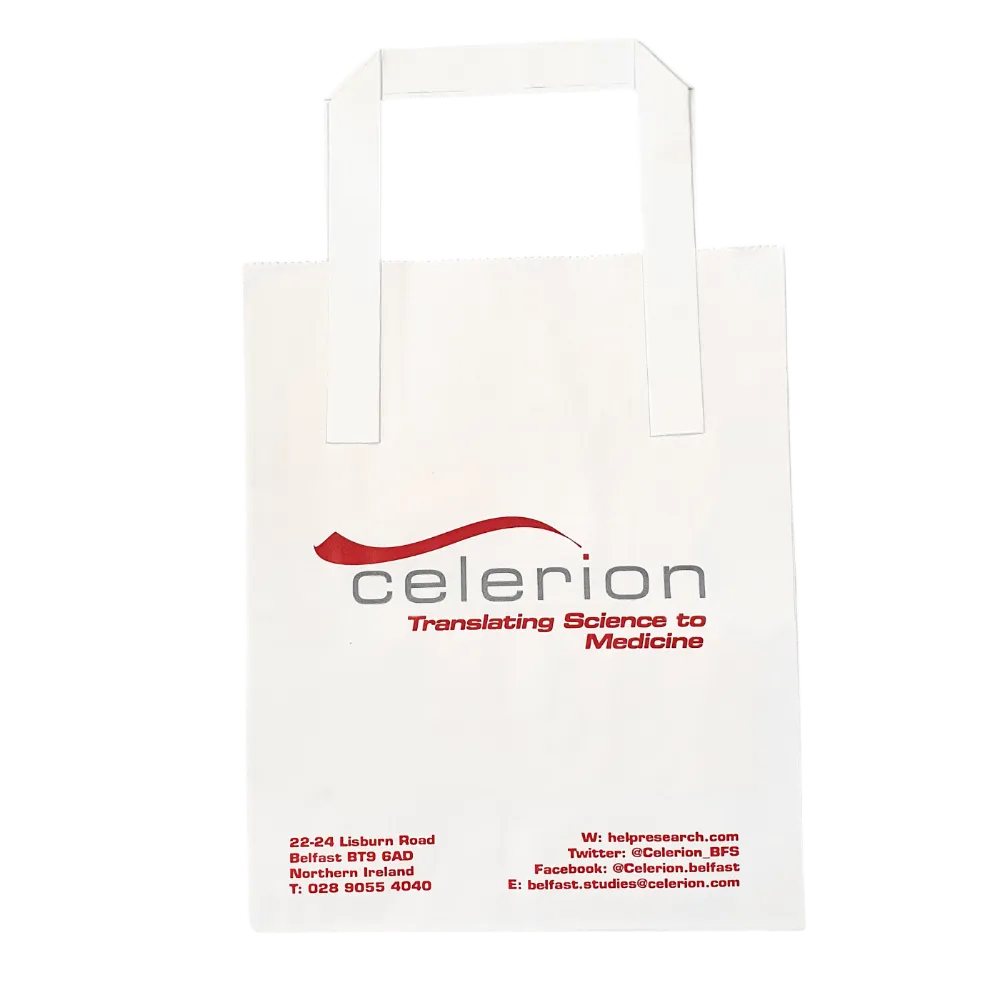 Promotional Mini Paper Carrier Bag | Total Merchandise