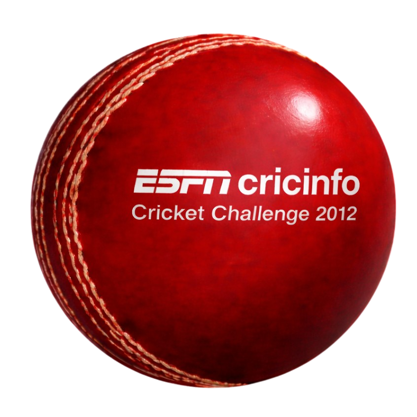 Promotional Full Size Cricket Ball | Logo Branded Sports Balls