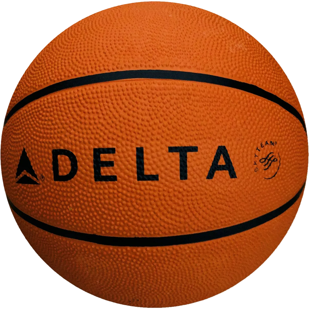 Branded Size 7 Training/Practice Basketballs | Total Merchandise