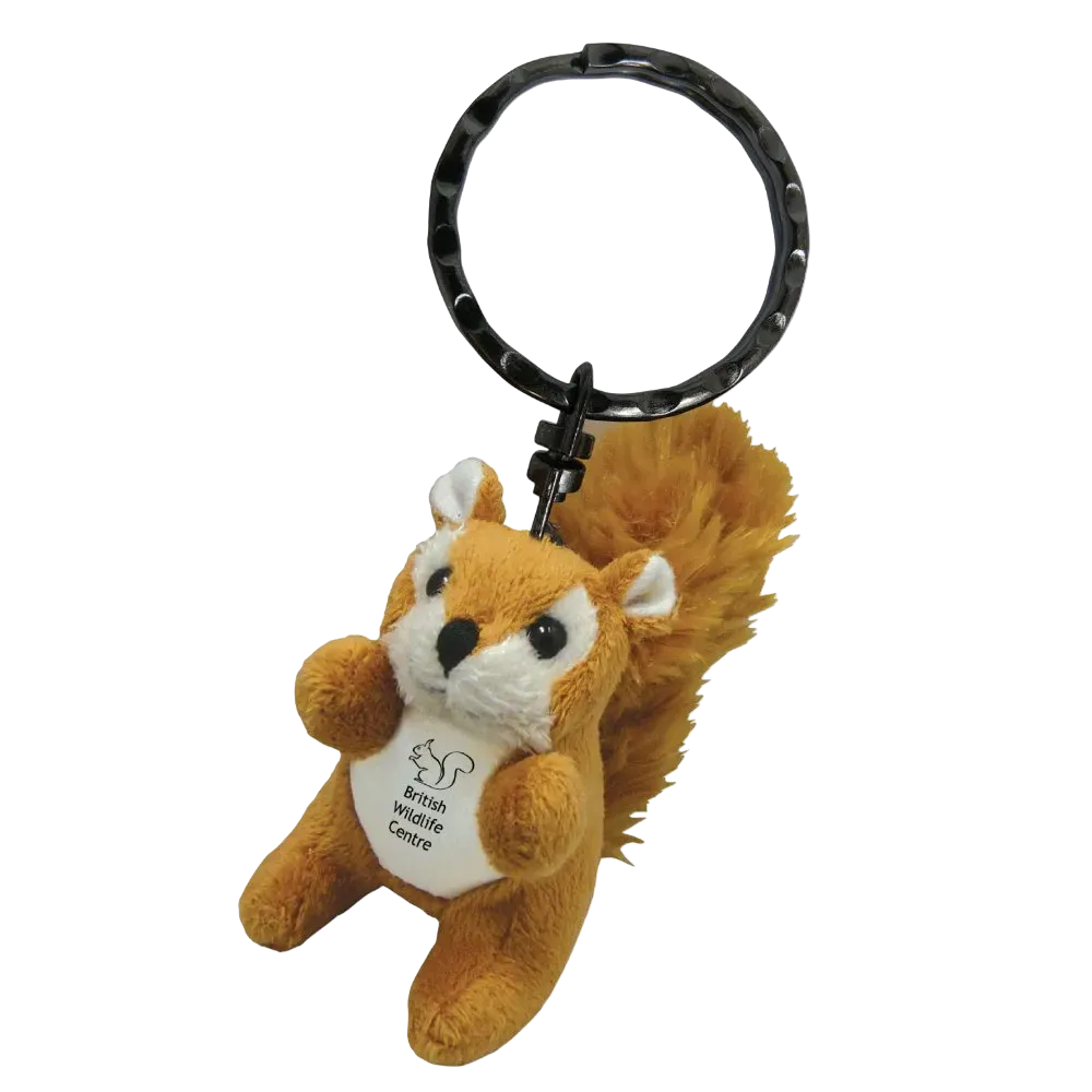 Promotional Printed Squirrel Soft Toy Keyrings | Total Merchandise