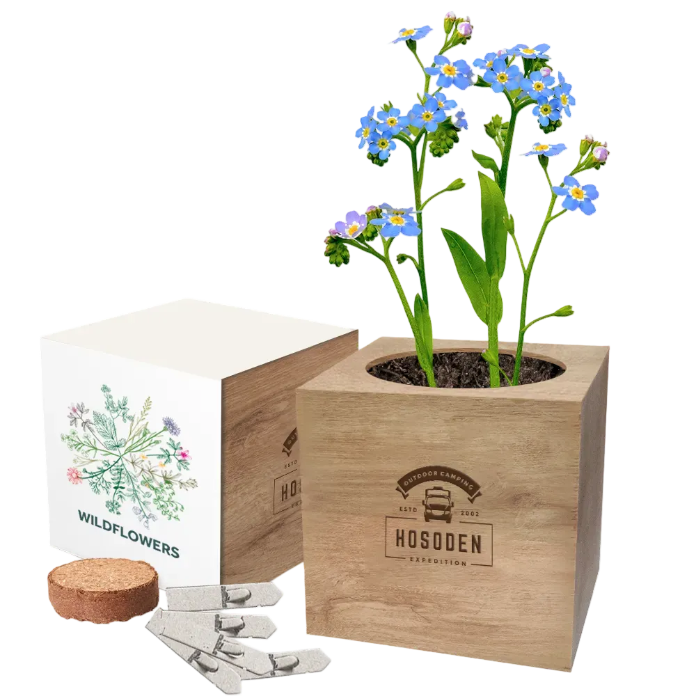 Custom Branded Express Desktop Cube Gardens | Total Merchandise