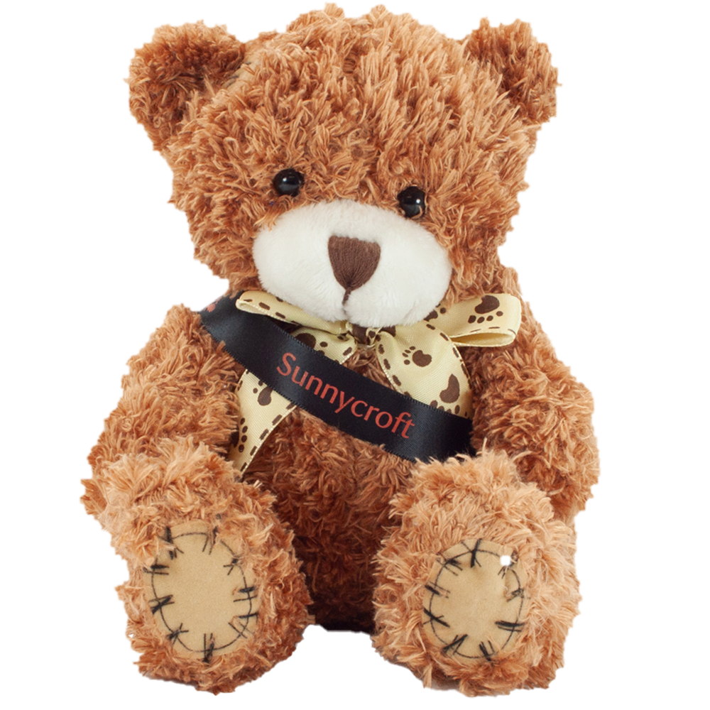 Logo Branded 18cm Paw Teddy Bears with a Sash | Total Merchandise