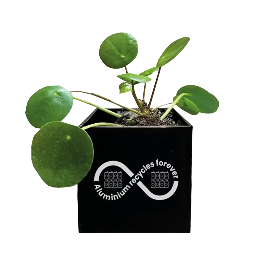 Logo Branded Small Aluminium Planted Pot | Total Merchandise