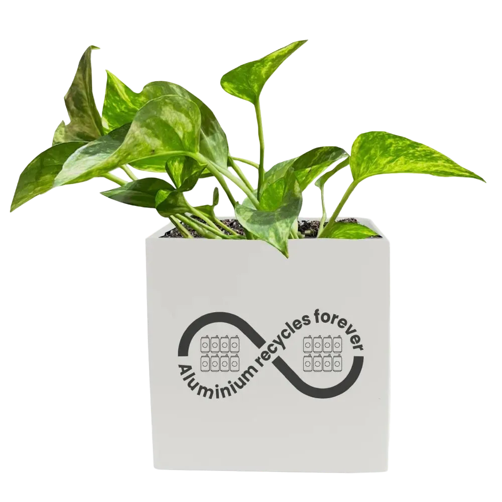 Custom Printed Medium Aluminium Planted Pot | Total Merchandise