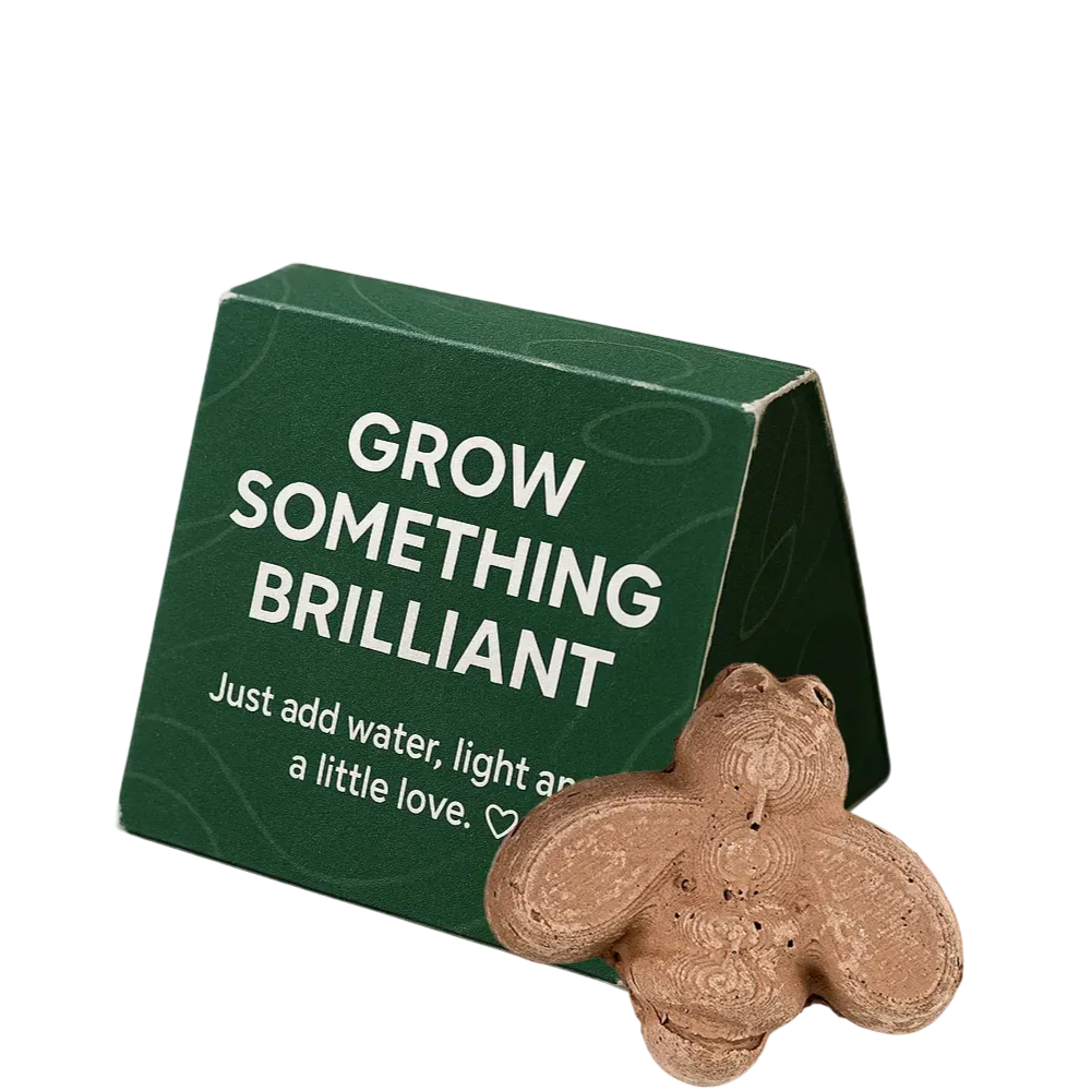 Mini Bee Shaped Seed Bomb Box | Total Merchandise