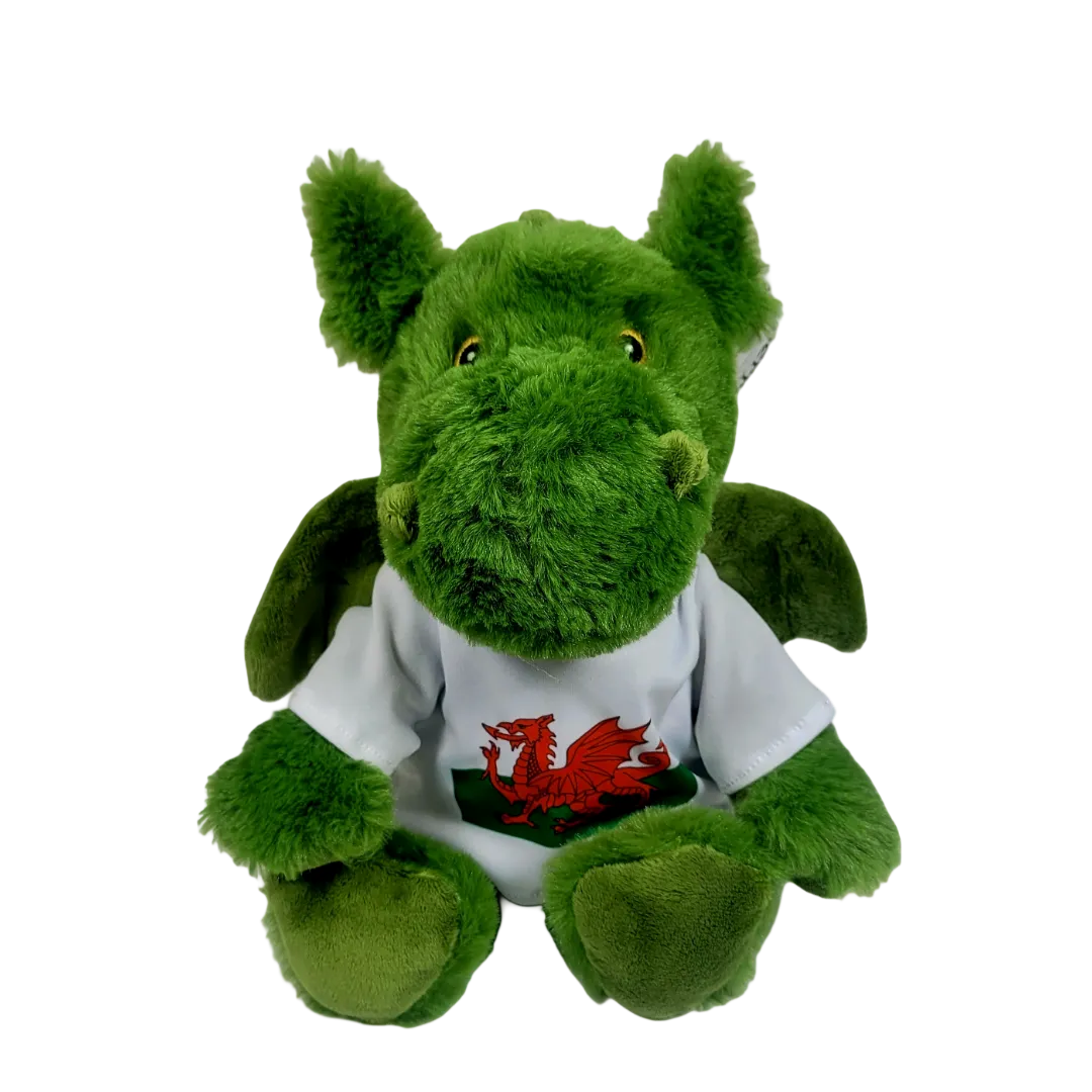 Custom Printed Misty Dragon Teddy | Total Merchandise