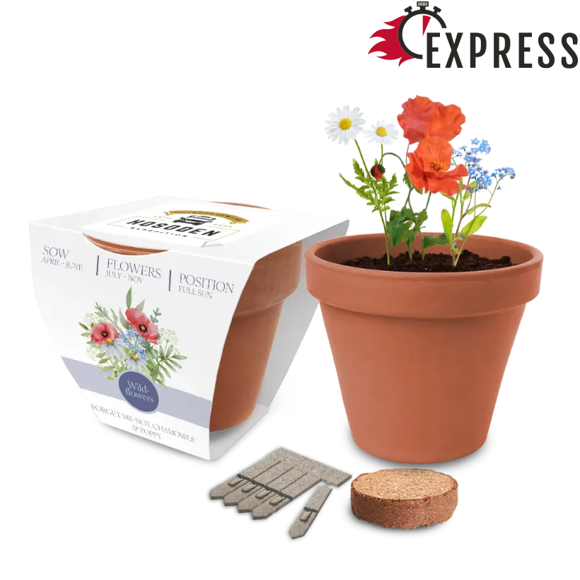 Total Express Essentials Clay Pot Gardens | Total Merchandise